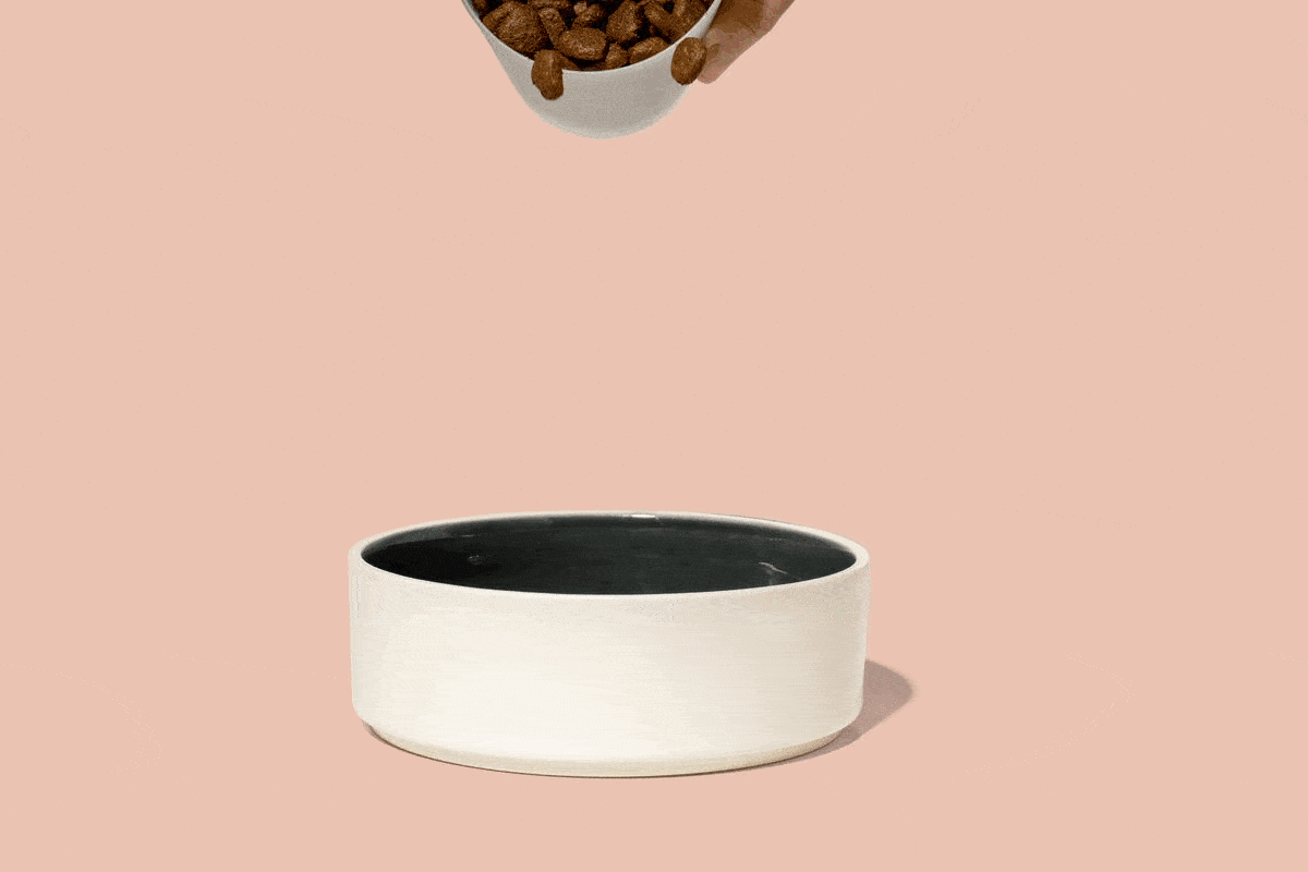 Cibo al salmone fresco per tutti i cani - Barkyn